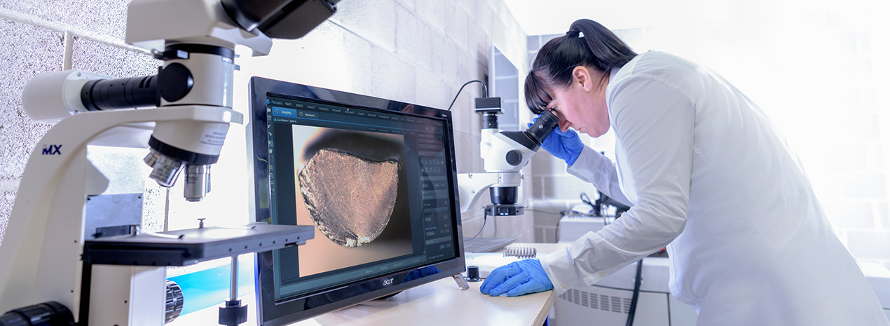Springs Electron Microscope | Force Technology